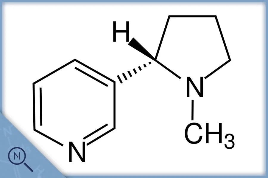 Nikotinsucht erklärt | Nicopedia AT