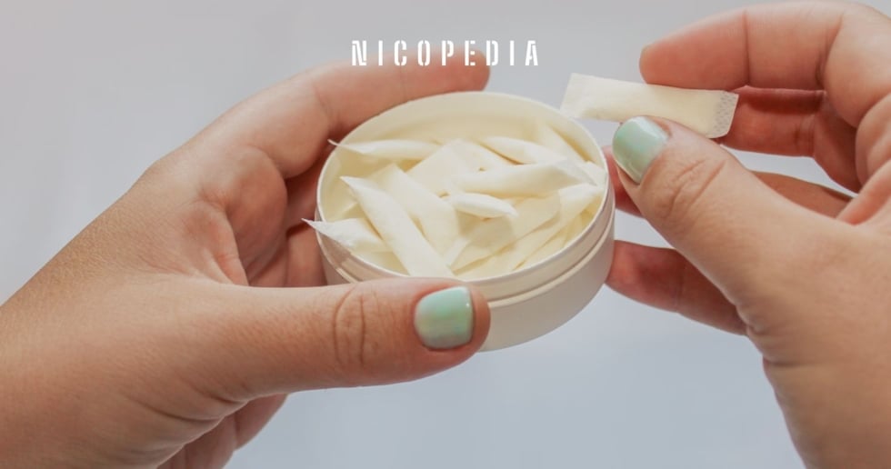 Was ist Snooze? | Guide & Kauf bei Haypp