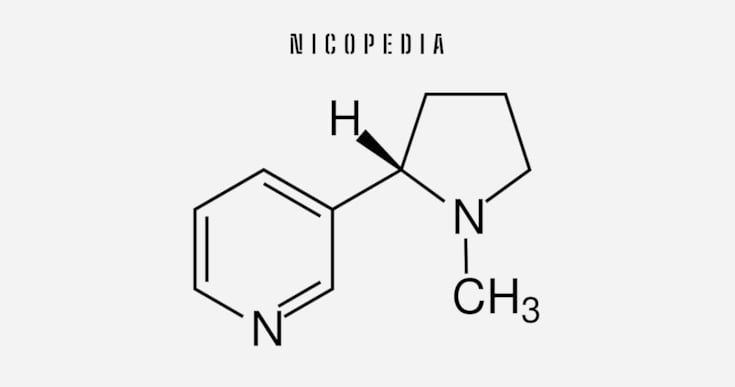 Nikotinabusus - Fragen und Antworten zur Nikotinabhängigkeit | Haypp DE