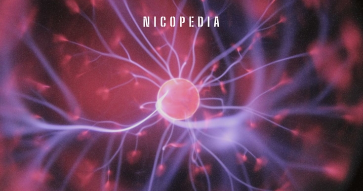 Nikotin – Nebenwirkungen und Wirkung | Nicopedia Haypp.de