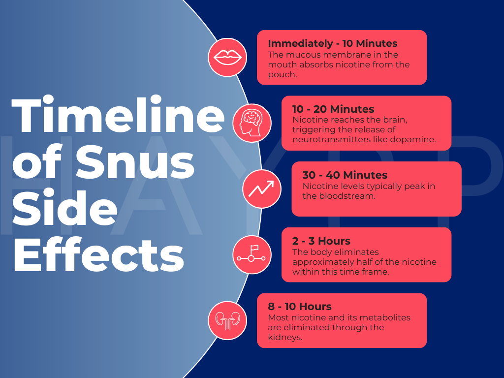 What is Snus? All You Need to Know About Snus - Haypp UK