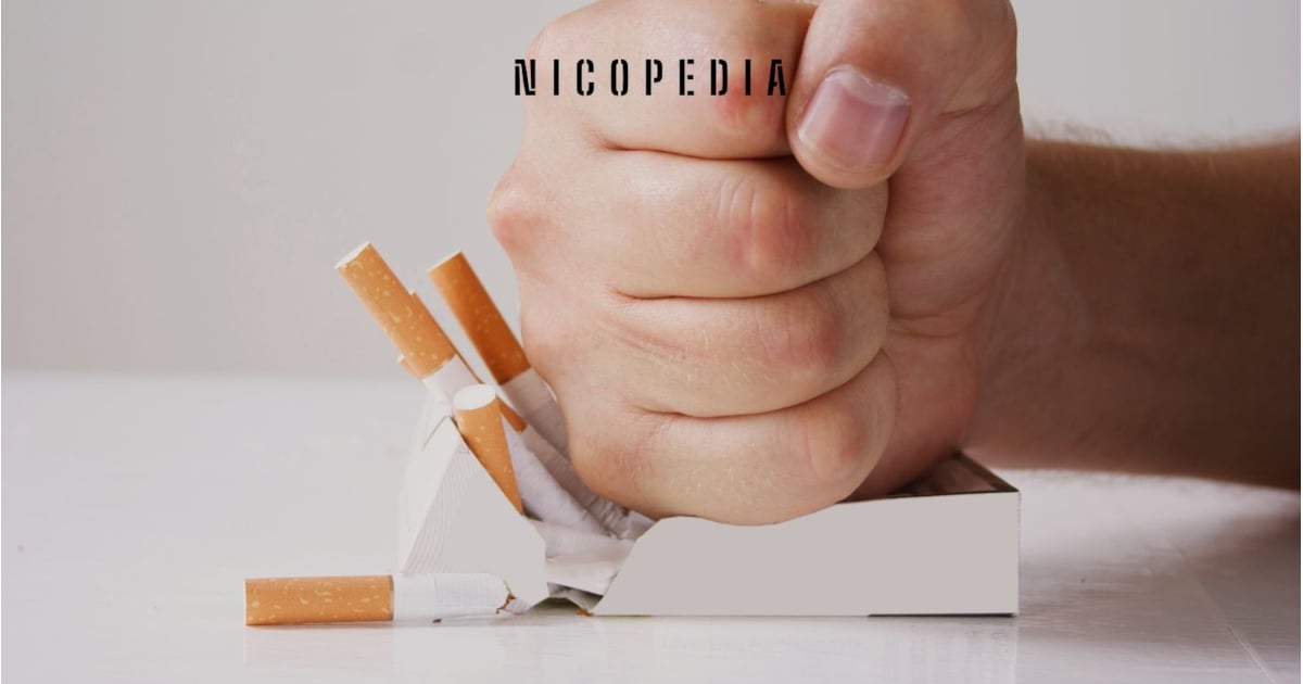 UK Smokers 2025: Explore Stop Smoking Success by Region