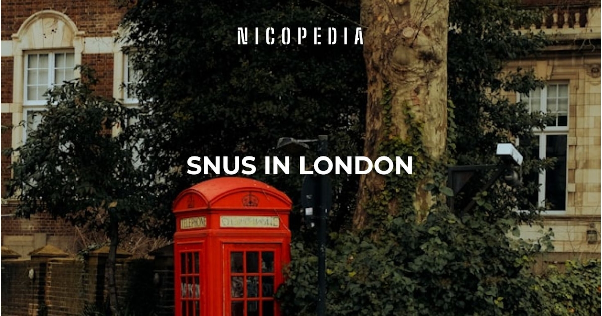 How to access Snus in London | Haypp UK