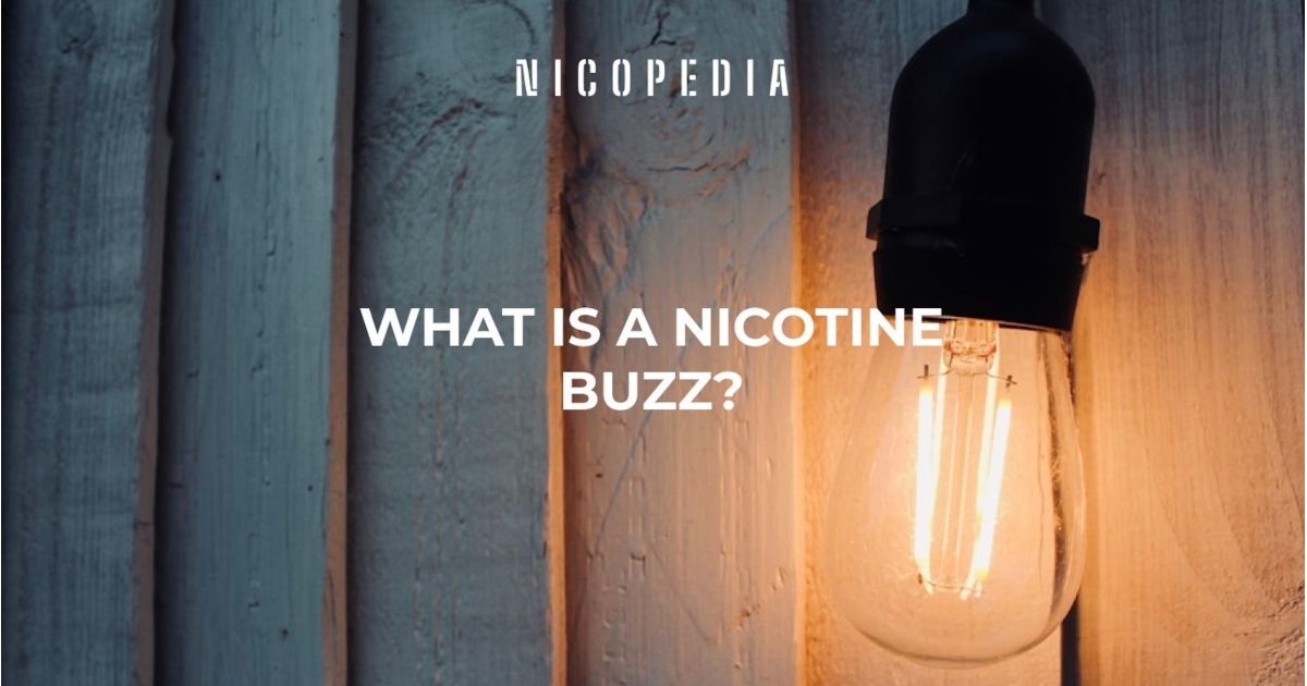 What is a nicotine buzz? - Read more at Nicopedia | Haypp UK