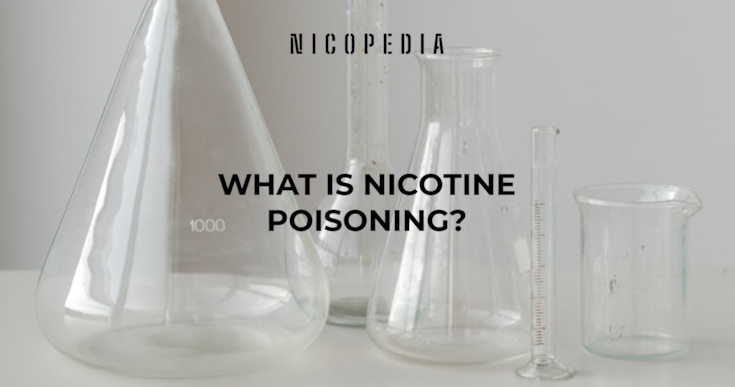 Nicopedia - What is Nicotine Poisoning? | Haypp UK