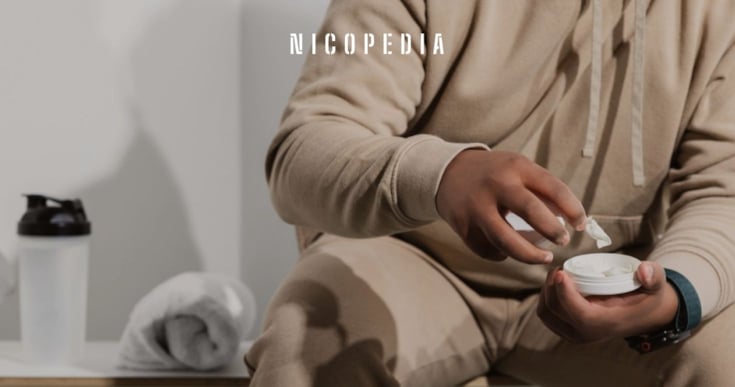 How to Use Snus & Nicotine Pouches – A Beginner's Guide