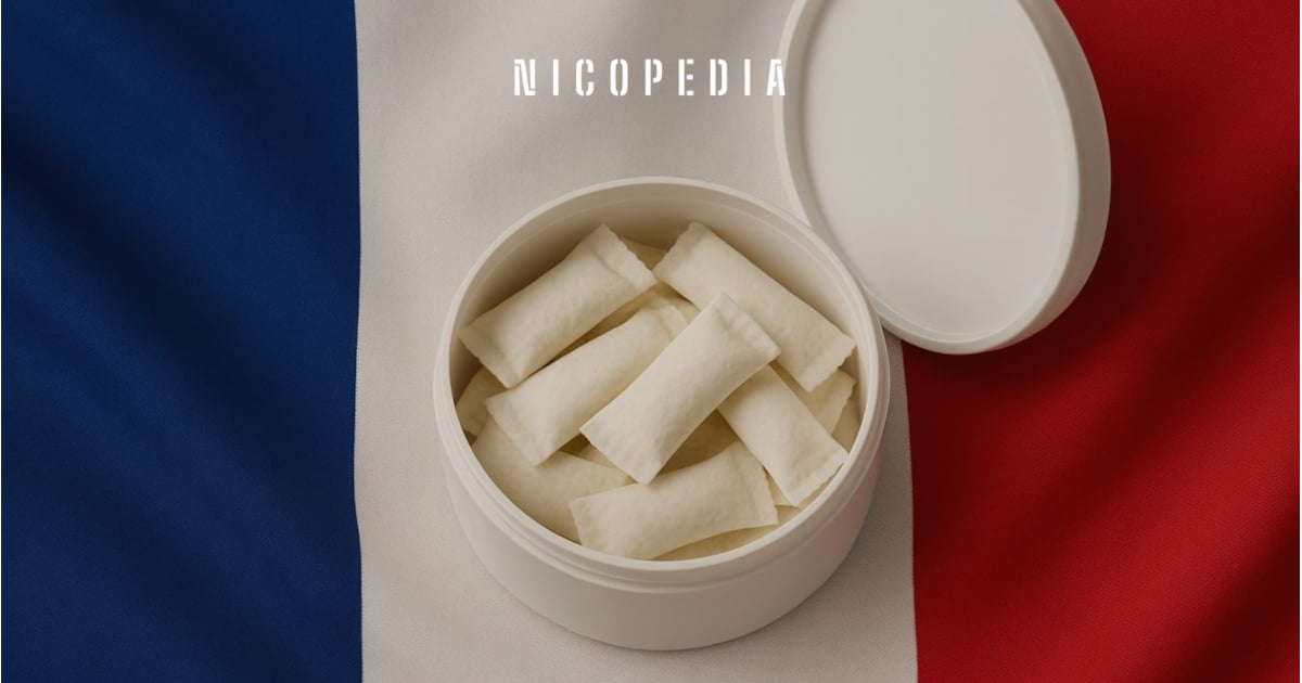 Sweden Warns France Against Nicotine Pouch Ban | Haypp UK