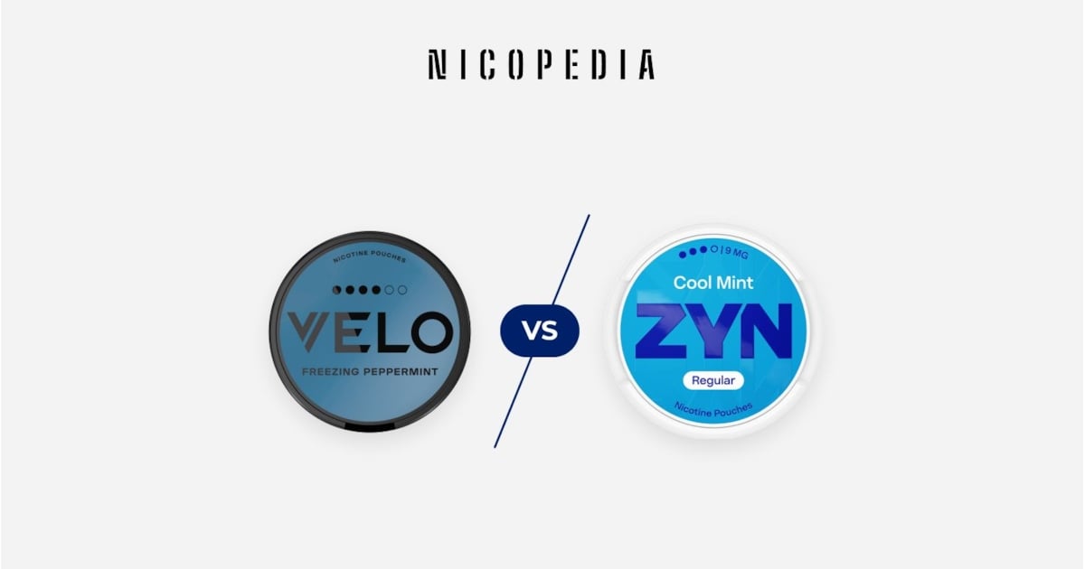 VELO vs ZYN: Key Differences Explained