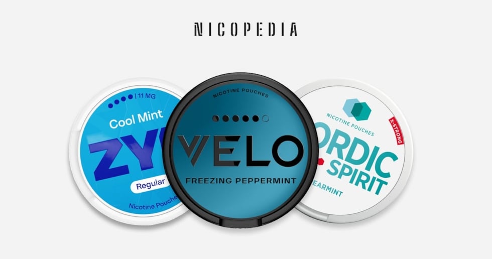 Best Nicotine Pouches 2025 | UK Top Brands & Picks